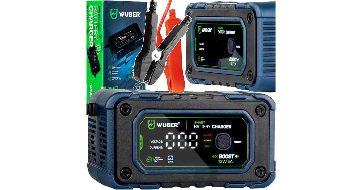 Prostownik mikroprocesorowy 6-12V 6A WUBER | wubertools.pl